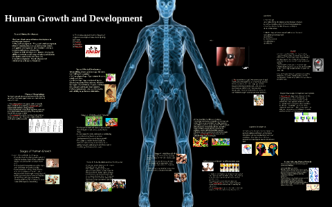 Human Growth and Development by Marie Nkusi on Prezi
