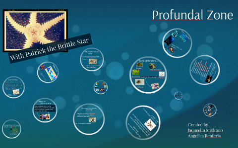 Profundal Zone by Angelica Renteria on Prezi
