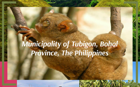 Municipality of Tubigon, Bohol Province, The Philippines by claire ...