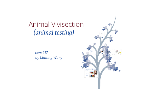 Animal Vivisection and its advantages and disadvantages by Liuning Wang ...