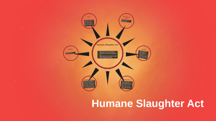 Humane Slaughter Act by Taylor Zawacki on Prezi