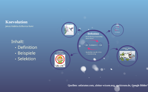 Koevolution by Bianca Kunz on Prezi