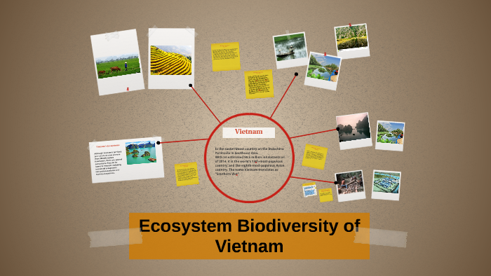 Ecosystem Biodiversity of Vietnam by Thij Gacura on Prezi