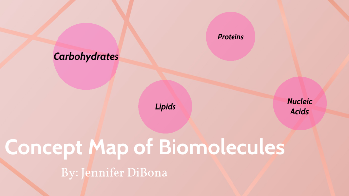 Concept Map of Biomolecules - Jennifer DiBona by Jennifer DiBona on Prezi
