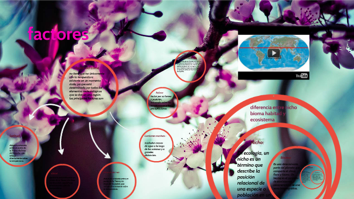 factores edaficos by yhoely tatiana navarro castro on Prezi