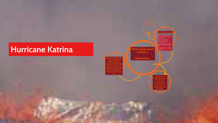 Hurricane Katrina: Pet Rescue by Christin McGinnis