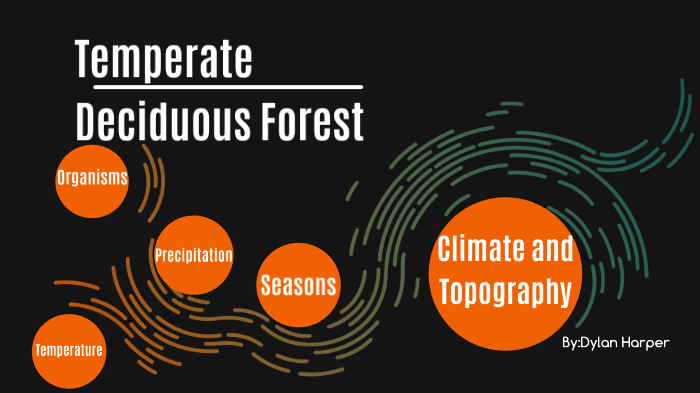 Temperate Deciduous Forest by Dylan Harper on Prezi
