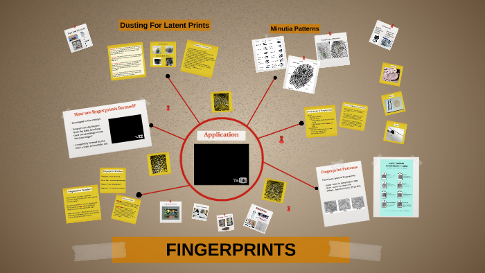 FINGERPRINTS by Veronika Minor on Prezi