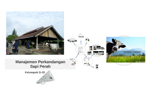 Manajemen Perkandangan Sapi Perah by Levi Meisha