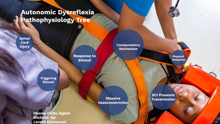 Autonomic Dysreflexia Patho Tree by Ifeoma Chike-Egboh on Prezi