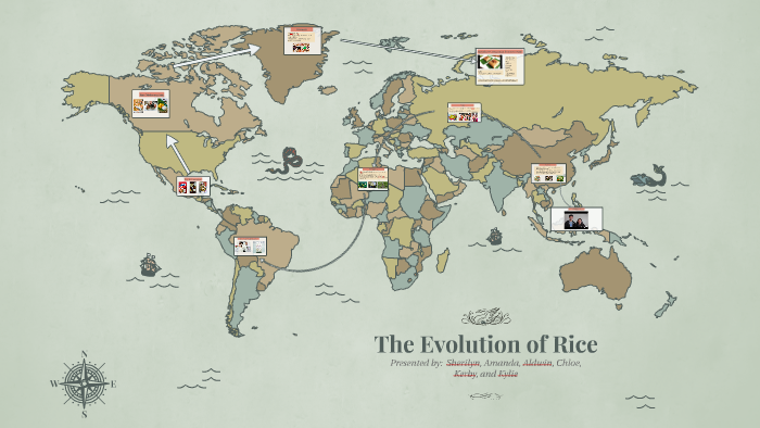 The Evolution of Rice by Aldwin Galang on Prezi