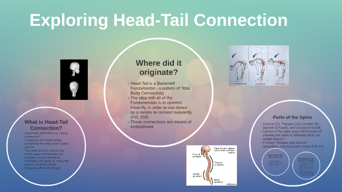 Exploring Head-Tail Connection by Nicole Giletto on Prezi