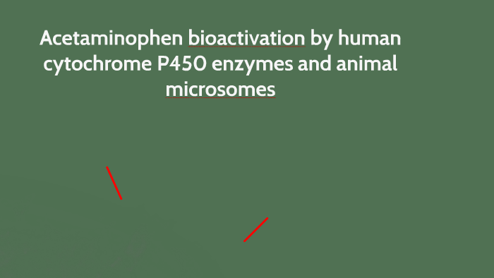 Acetaminophen bioactivation by human cytochrome P450 enzymes by ...