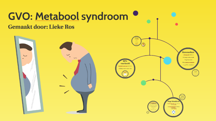 GVO: Metabool syndroom by Lieke Ros on Prezi