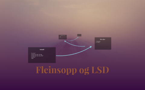 Fleinsopp by Magne Moe on Prezi