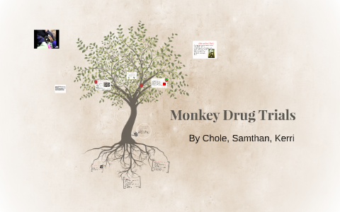 Monkey Drug Trials by Kerri Tran on Prezi