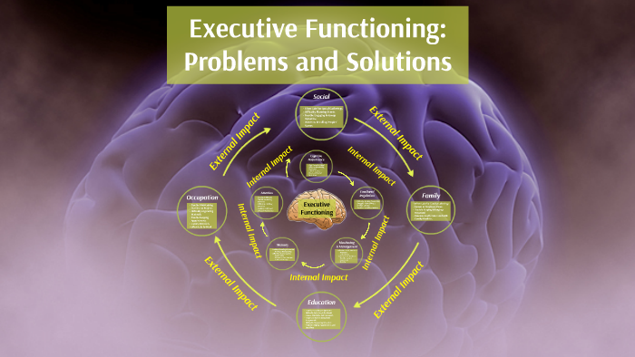 Executive Functioning: Problems and Solutions by Erica Warren on Prezi