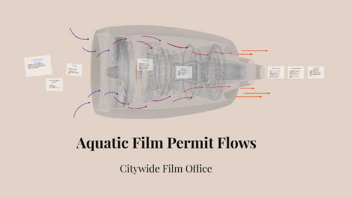 Aquatic Film Permit Flows by Brenda Aguirre on Prezi