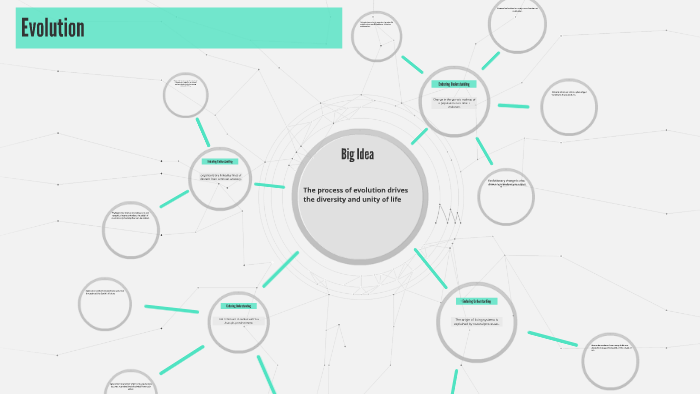 Evolution Concept Map by Matthew Vilaysak on Prezi
