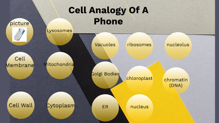 cell analogy of a phone by hayden mairet on Prezi