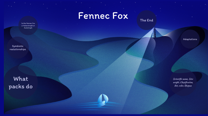 Fennec Fox by Xander Roberts13 on Prezi