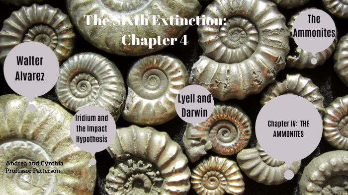 The Luck Of The Ammonites by Cynthia Botello Salas on Prezi