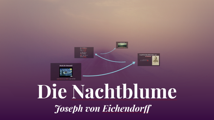 Die Nachtblume by Josefine Walter on Prezi
