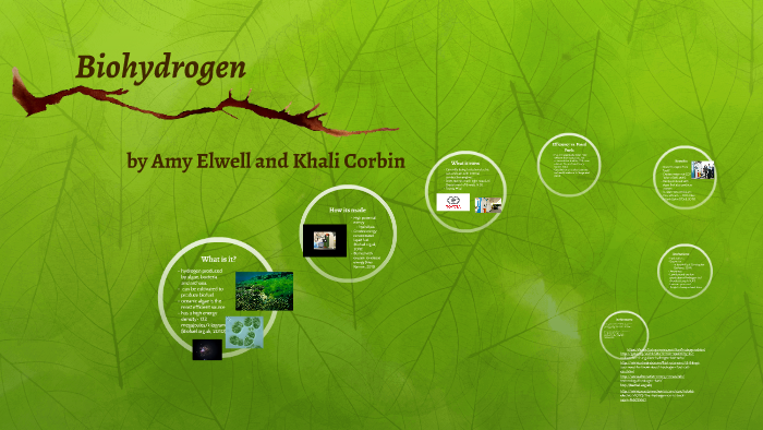 Biohydrogen by Amy Elwell on Prezi