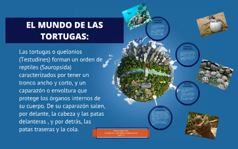 EL MUNDO DE LAS TORTUGAS: by liliana baracaldo on Prezi