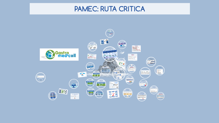 RUTA CRITICA PROGRAMA DE AUDITORIA PARA EL MEJORAMIENTO DE LA CALIDAD ...