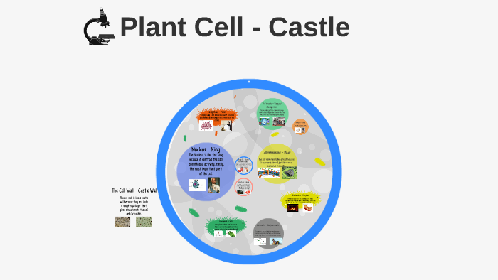 Plant Cell - Castle by Madison Brumit on Prezi