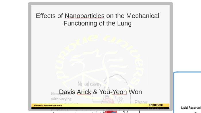 Davis Arick & You-Yeon Won by davis arick on Prezi