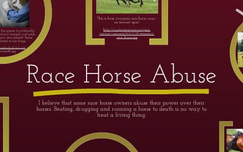 Race Horse Abuse by Catherine Laberge