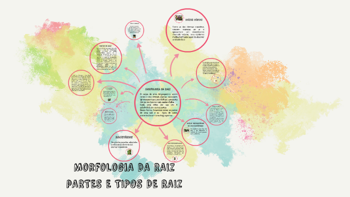 MorfologiA DA RAIZ by Anna Tabbert on Prezi