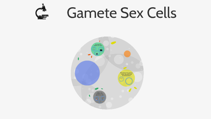 Gamete Cell