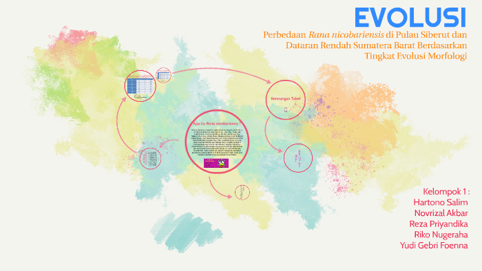 Evolusi (Perbedaan Rana nicobariensis di Pulau Siberut dan Dataran ...