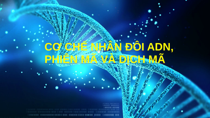 CƠ CHẾ NHÂN ĐÔI ADN, PHIÊN MÃ VÀ DỊCH MÃ by Trần Thư on Prezi