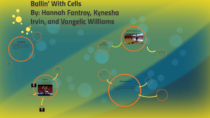 Ballin' With Cells by Hannah Fantroy on Prezi