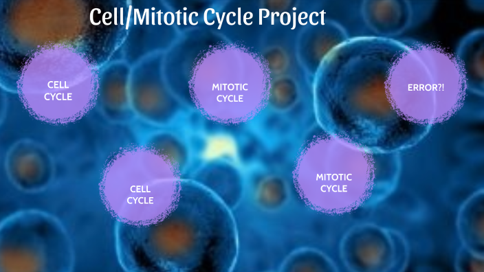 Cell Cycle/ Mitosis Project by Denisse Sanchez Tlanipa on Prezi