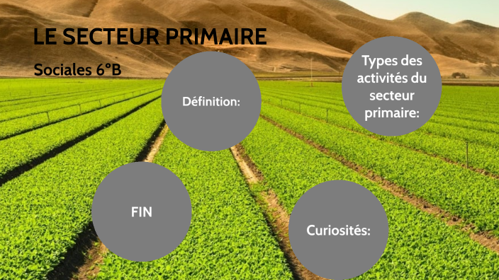 Métiers Du Secteur Primaire: Secteur D’Activité Primaire Liste – PLLZ