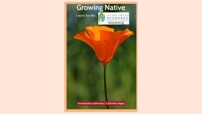 Growing Native Conservation College by Ed Team on Prezi