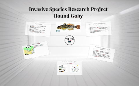 Invasive Species Research Project by kyle umadhay on Prezi