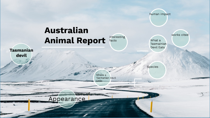 Australian Animal Report by Griffin Ernst on Prezi