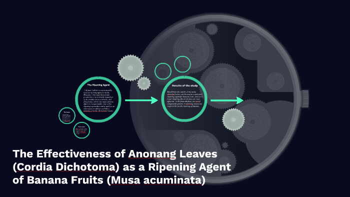The Effectiveness of Anonang Leaves (Cordia Dichotoma) as a by Malou ...