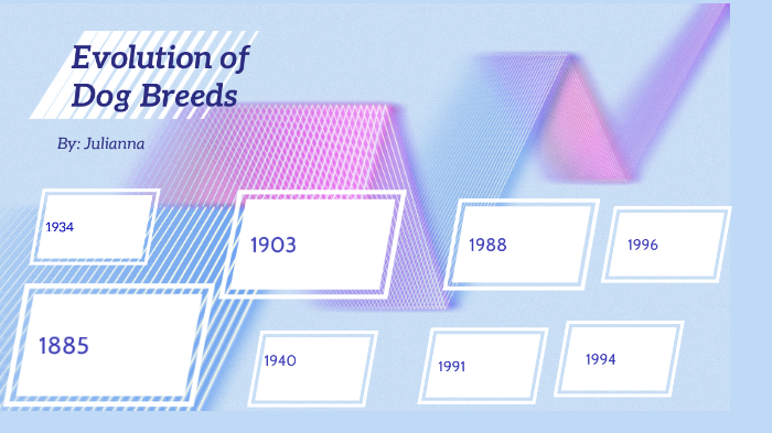 Dog Breed Timeline by Julianna Lamboy on Prezi