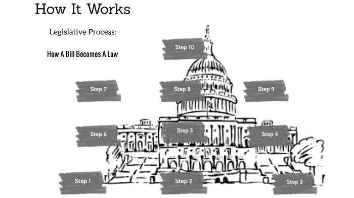 Legislative PPT by Mya Mcdonald on Prezi
