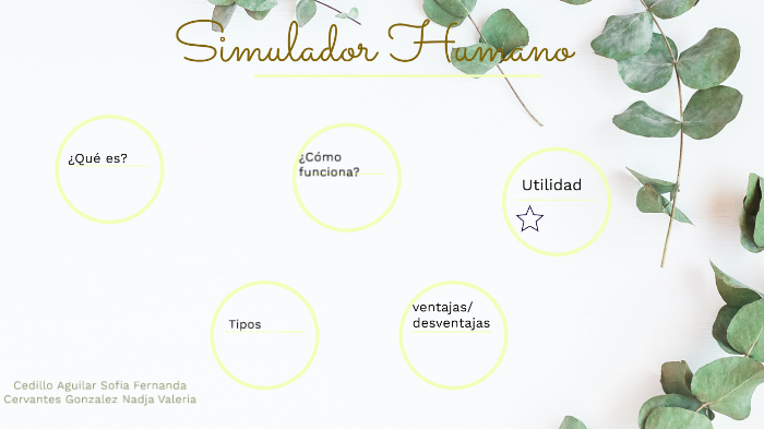 Simulador Humano by sofia cedillo on Prezi