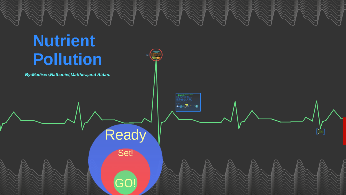 What is Nutrient Pollution? by Aidan Hartell on Prezi