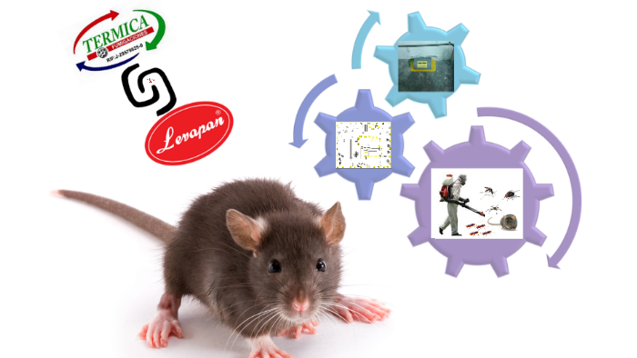 Juntarse es un comienzo. Seguir juntos es un progreso. Traba by ANA ...