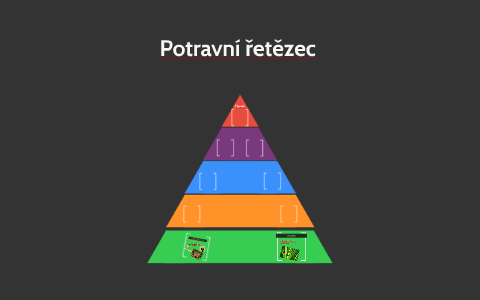 Potravní řetězec by tomas tauchman on Prezi